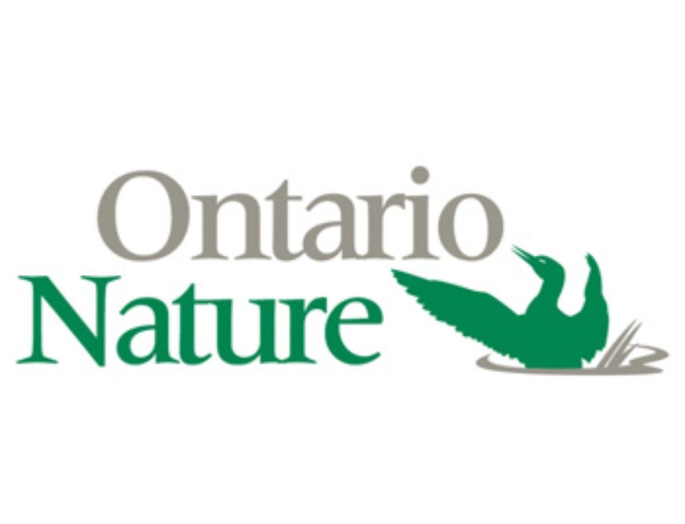 OFAH Foundation – Lake Ontario Atlantic Salmon Restoration Program ...