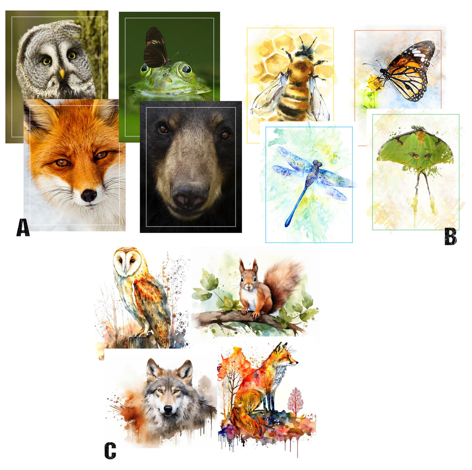 Note cards – Ontario Wildlife Foundation